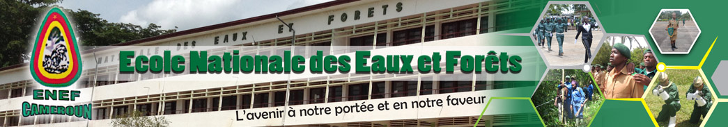 ENEF Ecole Nationale des Eaux et Forêts de Mbalmayo